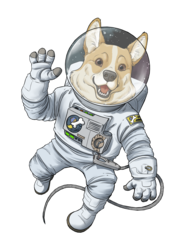 SpaceCorgi (SCORGI)