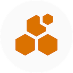 Swarm Network (BZZ)