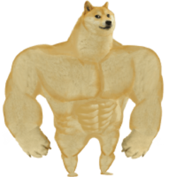 Swole Doge (SWOLE)