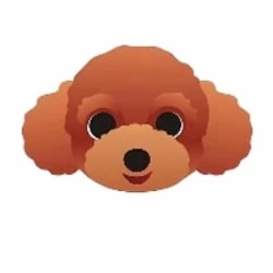 Teddy Dog (TDG)