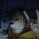 The Big Trout (BIGTROUT)