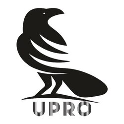 Ultrapro (UPRO)