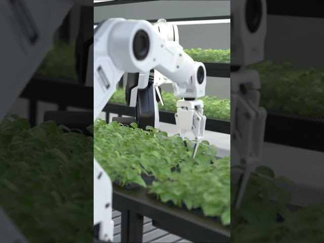 AgroGlobal Shaping the Future of Farming with Technology #shorts #agrifuture #farming #agroglobal