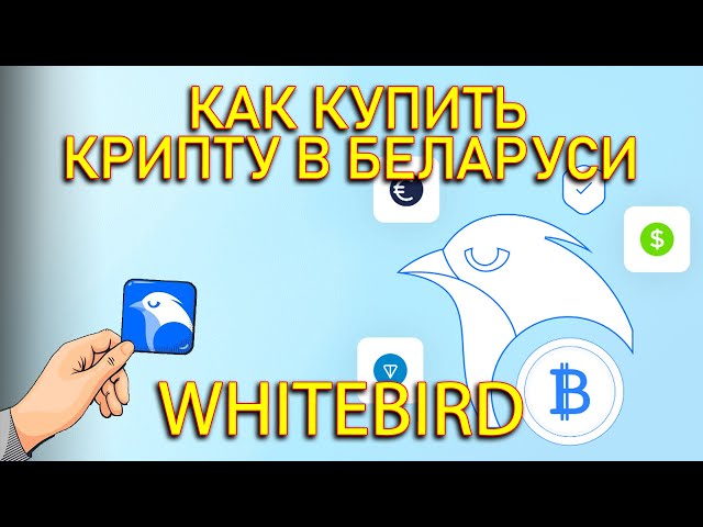 КАК ЛЕГАЛЬНО КУПИТЬ КРИПТУ В БЕЛАРУСИ | WHITEBIRD | ИНСТРУКЦИЯ