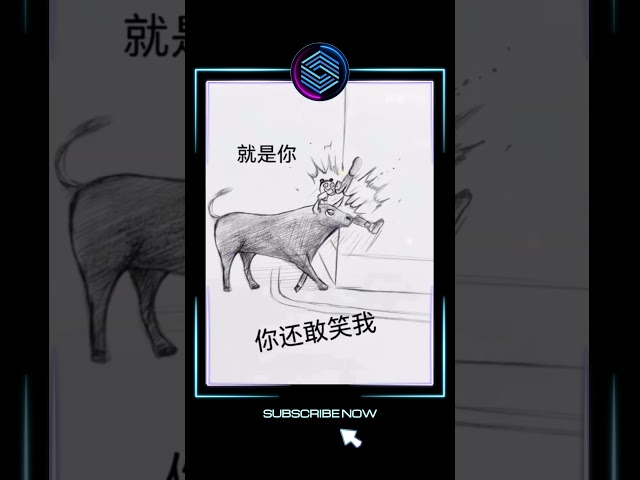 #bullrun 2025 ๐๐๐