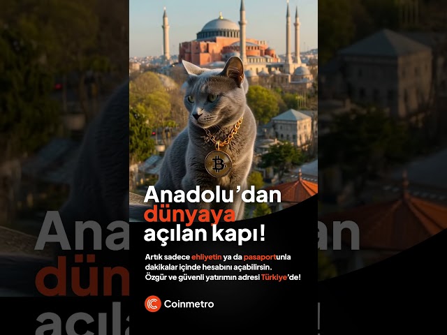 Merhaba Türkiye!