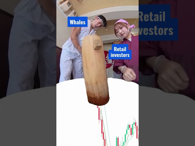 United we fall ๐ #crypto #trading #memes