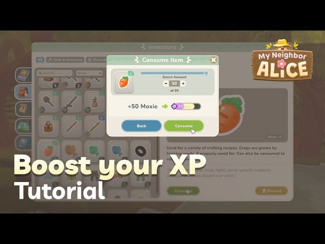 Turn your actions into XP | Tutorial