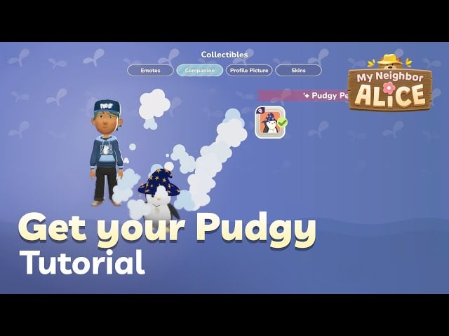 Get your Pudgy Penguin in the Archipelago | Tutorial