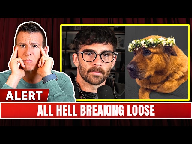 Hasan Piker Shock Collar Allegations, Katie Porter Interview Disaster, & Trump's Chicago Invasion