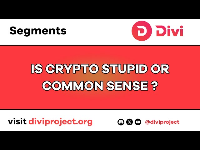 Divi Segments - Is Crypto Stupid Or Common Sense?