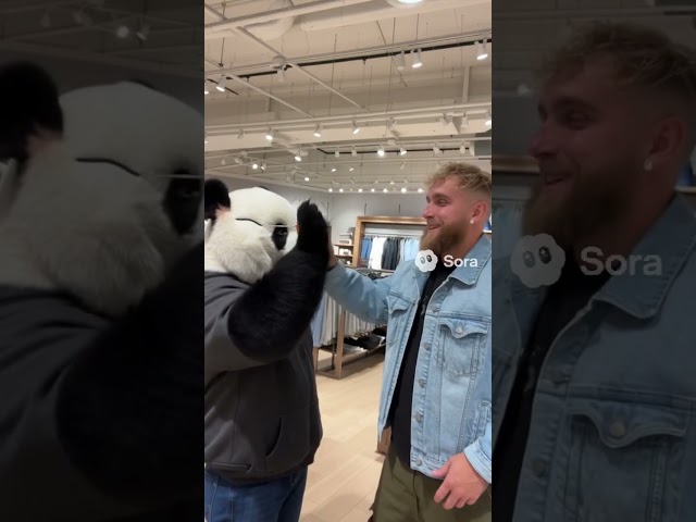Presearch it #mall #jakepaul