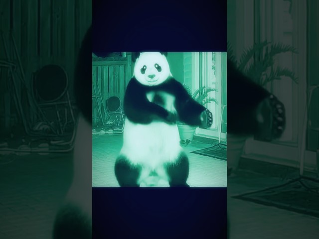 #caught