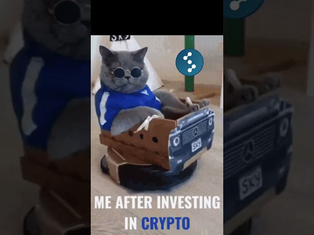 Me After Investing in Crypto 😎