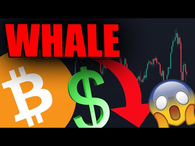 THE INSIDER WHALE IS TRYING TO FOOL YOU.... *Big proof*