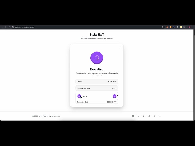 Energy Web X - Staking