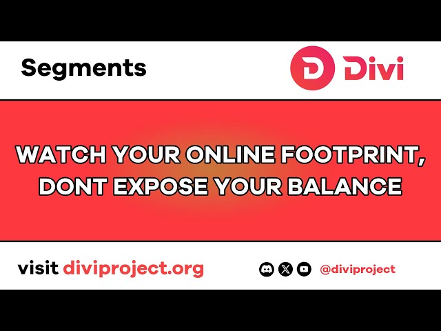 Divi Segments - Watch Your Online Footprint, Don't Expose Your Balance