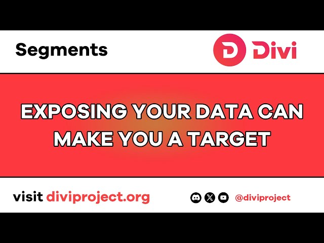 Divi Segments - Exposing Your Data Can Make You A Target