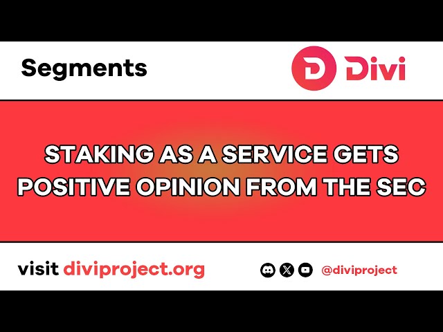 Divi Segments - Staking As A Service Gets Positive Opinion From The SEC