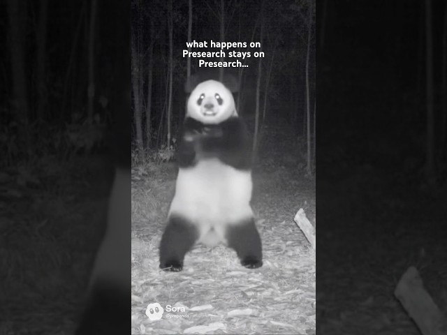 Nobody’s watching… try Presearch.com today #caught #nightvision