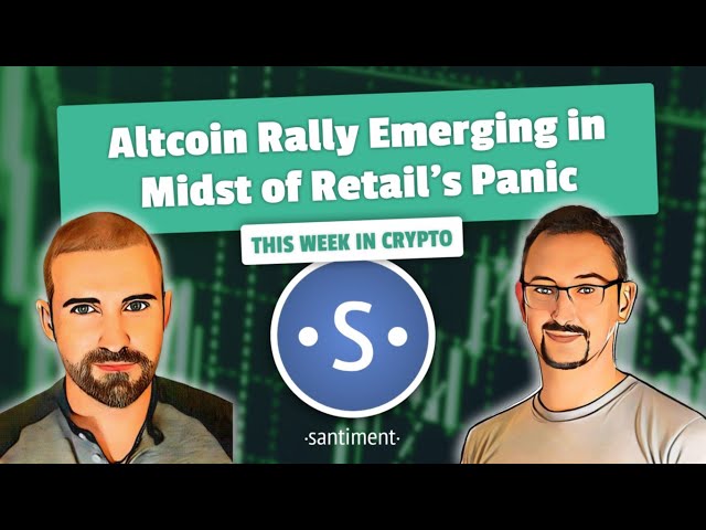 Altcoin Rally Emerging In Midst of Retail's Panic - This Week In Crypto, 7th of November 2025