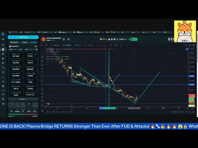 🦴🔥 $BONE IS BACK — WHY THIS IS THE MOMENT! 🚀💰 #BONE