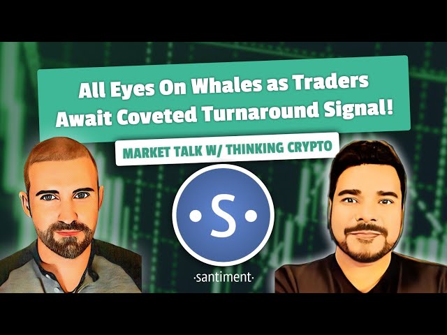 Bitcoin Whale Chat, & XRP, Ethereum, ZCash Analysis!