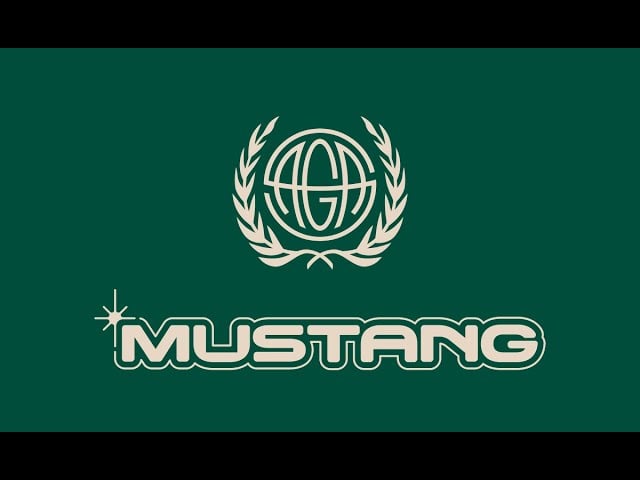 Everything You Need to Know About Mustang Finance