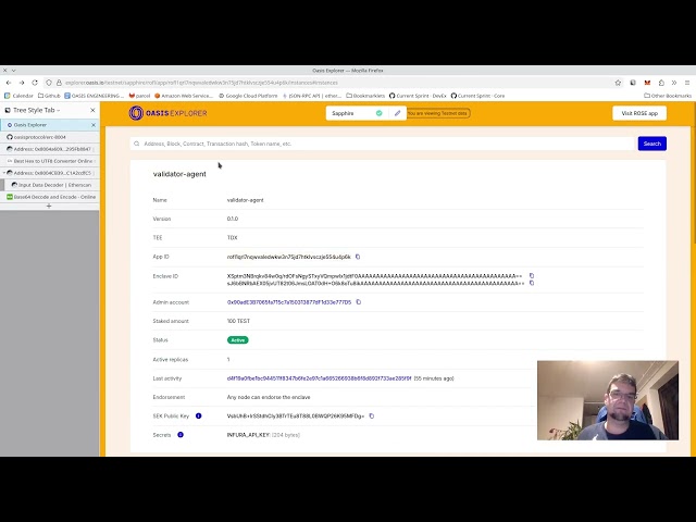 TEE Validation Of Agent Keys: Live Demo by Oasis' Matevz
