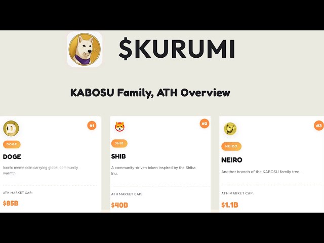 Kurumi, A Shiba Inu in the KABOSU Family 🚀