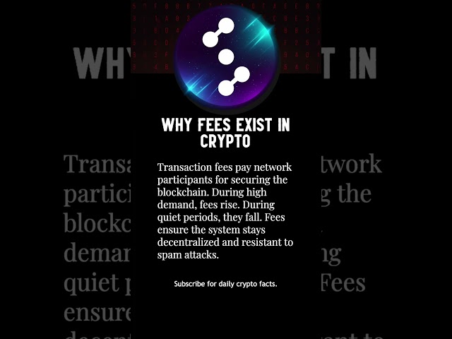 Why Fees Exist in Crypto | Cryptocurrency Explained