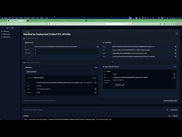 LLM Fine Tuning via The NuNet Appliance