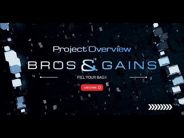 Project Overview Bros & Gains