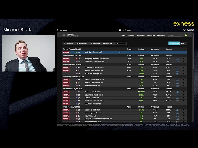 Market Analysis with Michael Stark, Financial Market Expert