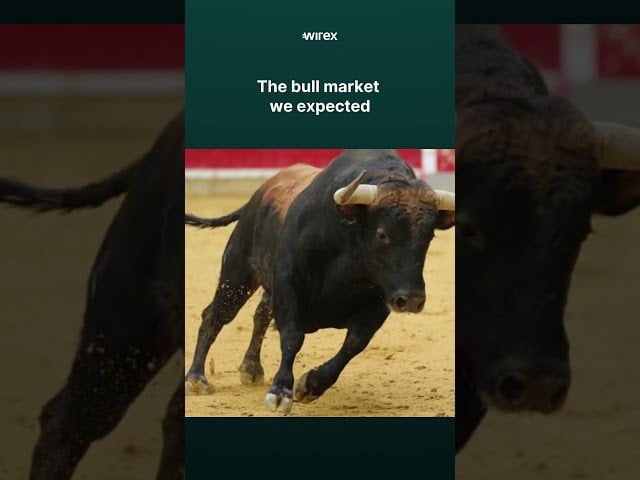 Crypto Bull Run Expectations vs Reality 🐂 #crypto #bullrun #cryptomarket #cryptotrading #cryptomeme