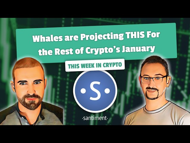 This Week in Crypto: How Sentiment is Shifting For Crypto's Elite!