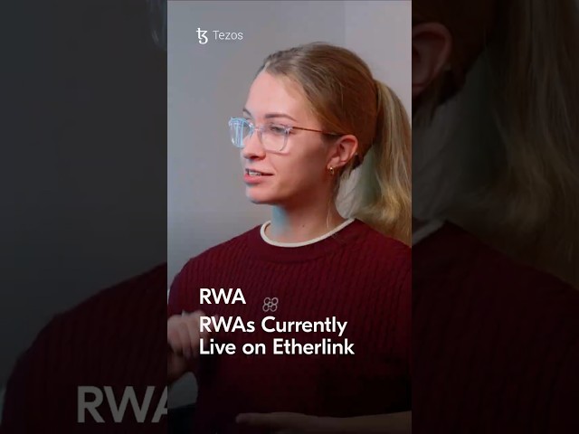 RWA - RWAs Currently Live on Etherink #clips #podcast #web3 #commodities #rwa