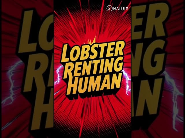 Lobster Renting Human