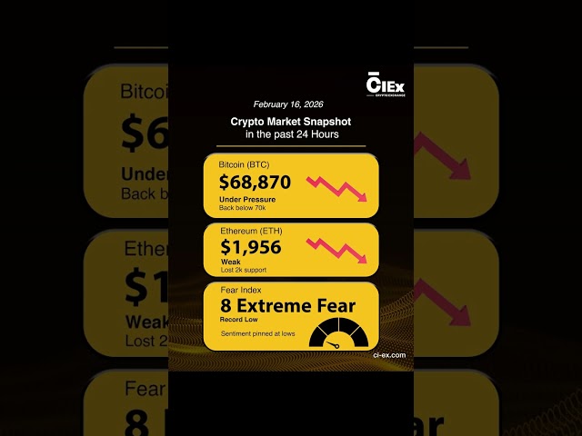 February 16, 2026 | What happened in the past 24 hours?