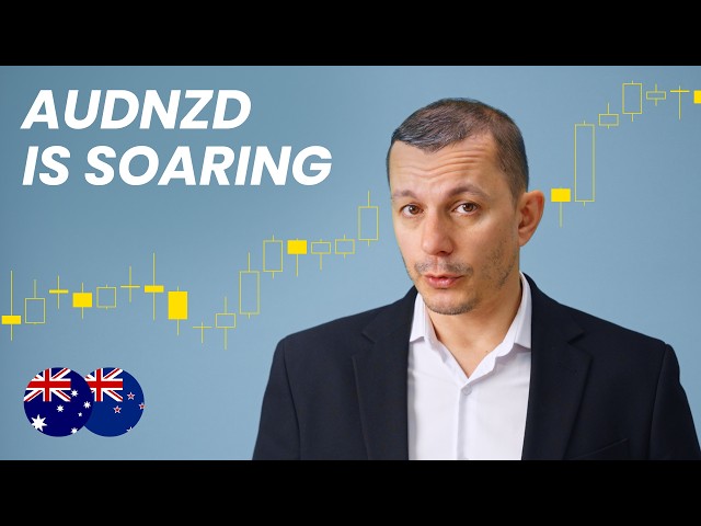 AUDNZD momentum continuation scenario | trade of the week | 24.02.2026