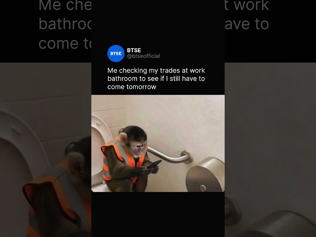 Who dis? 😂 #crypto #trading