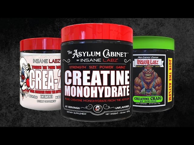 INSANE LABZ - A COMPLETE OVERVIEW OF OUR CREATINE