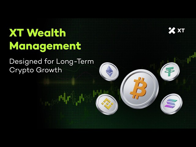 XT Wealth Management — Stable Crypto Returns, Zero Sleepless Nights