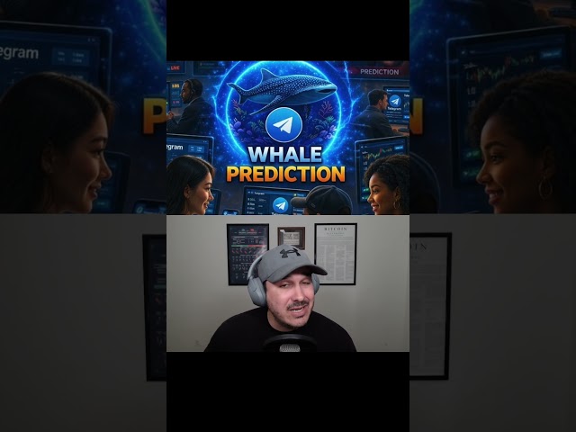 NO KYC Prediction on Solana?! 👀 $WHALE Might Be HUGE  #crypto #cryptocurrencyprojects