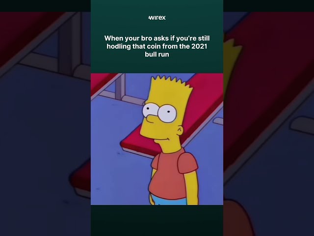 Still Holding Those Old Bags Like It’s All Part of the Plan 👍 #crypto #bitcoin #hodl #cryptomarket