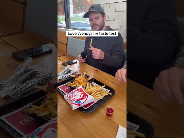 HOW ARE WENDY'S FRIES?