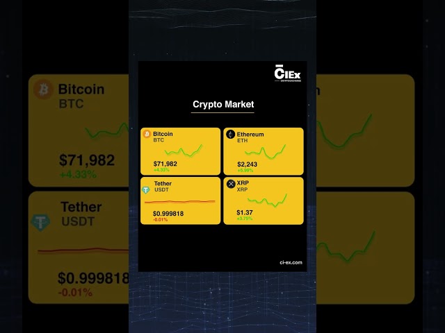 What happened in the past 24 hours?