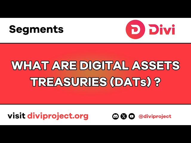 Divi Segments - What Are Digital Assets Treasuries (DATs)?