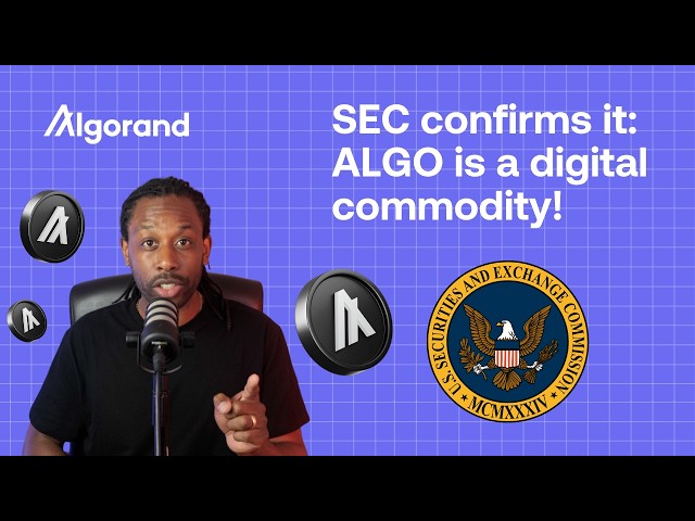 SEC spoke: ALGO is not a security, it's a digital commodity