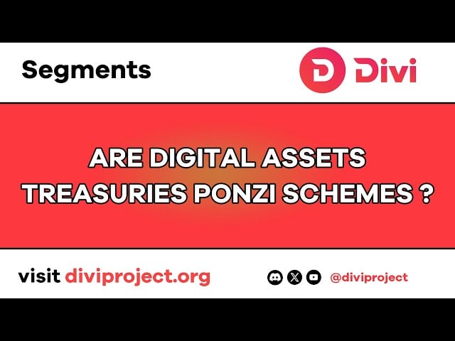 Divi Segments - Are Digital Assets Treasuries Ponzi Schemes?